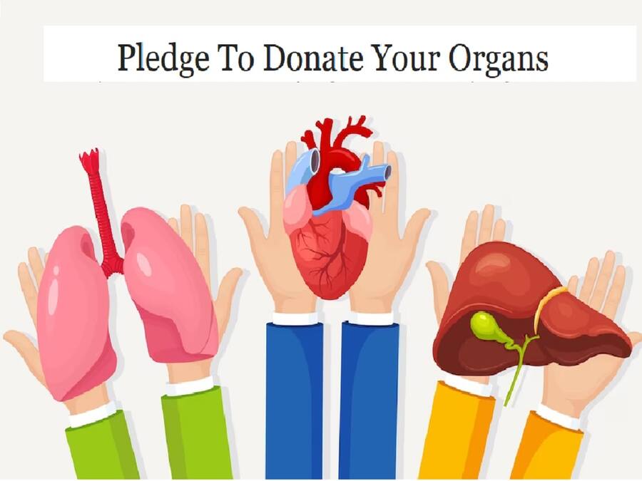 Donor Matching Guide: Advancements In Techniques For Optimal Transplant ...