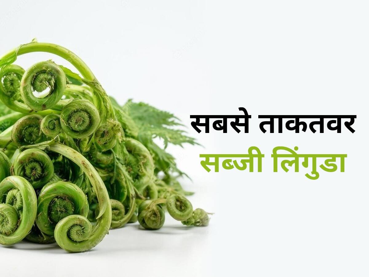 Benefits Of Linguda: सबसे ताकतवर सब्ज़ियों में शामिल है ये पहाड़ सब्ज़ ...
