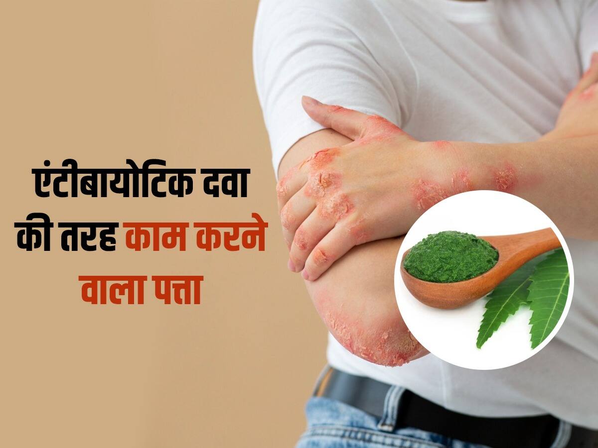 neem ke benefits | एंटीबायोटिक दवाओं को भी फेल कर देंगे इस पेड़ के ...