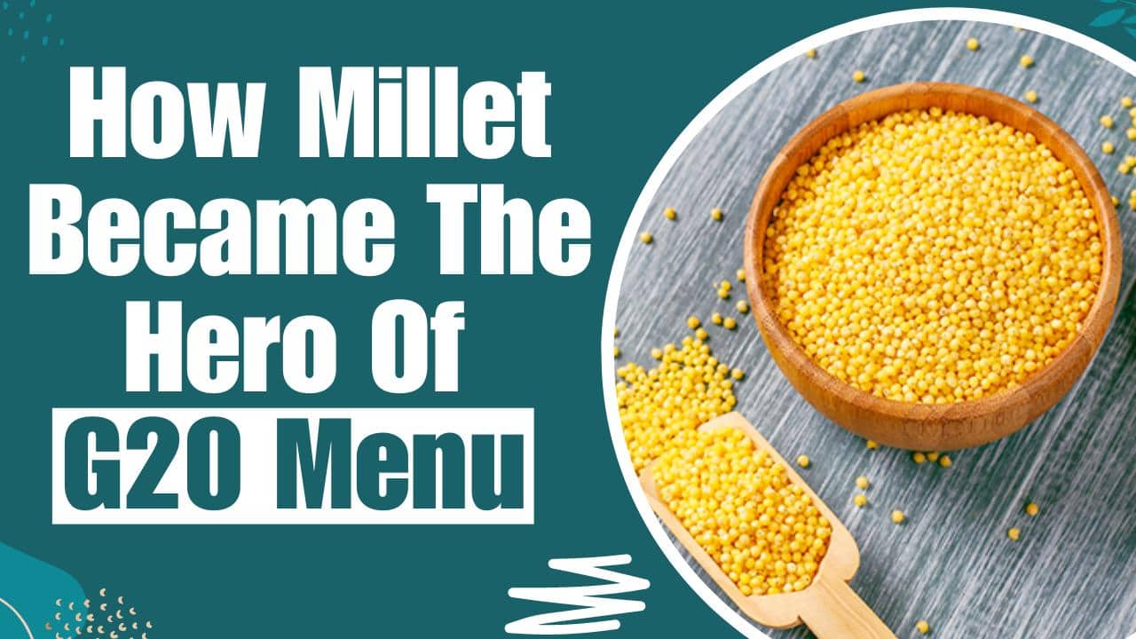 Delights at the G20 Summit: Benefits Of Eating Nutrient-Rich Millets ...
