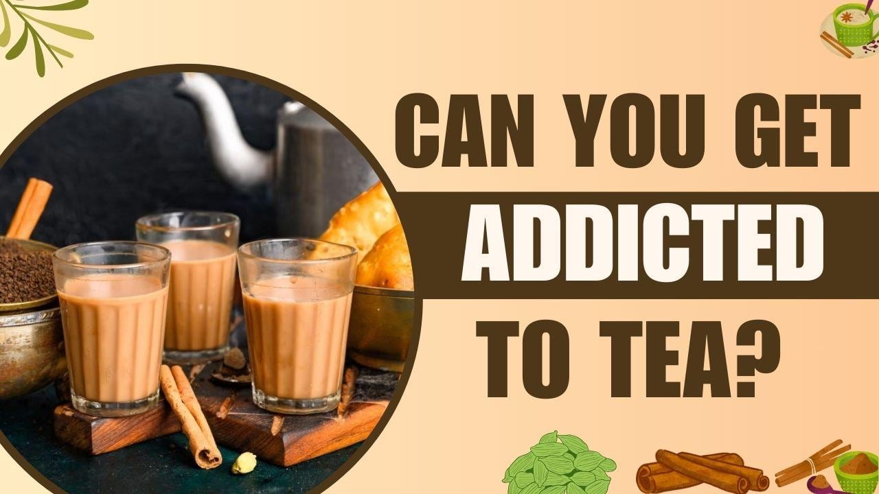 Health Care Tips: Drinking too much tea? Heres How Severely It Can ...