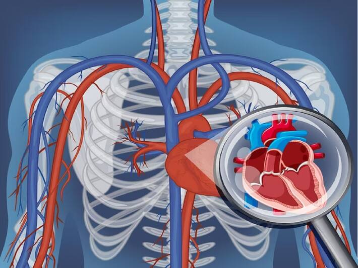 Transcatheter Aortic Valve Implantation: 3 Benefits Of TAVI For High-Risk Patients ...