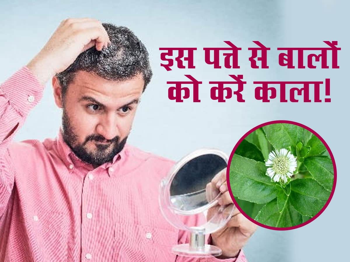 balo ko kala kaise kare gharelu nuskhe | 20-30 की उम्र में सफेद होते ...