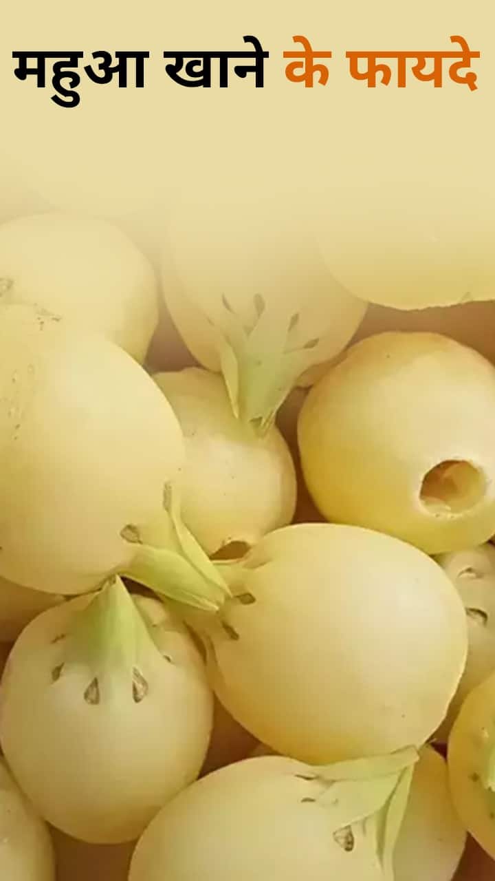 Mahua Khane Ke Fayde | Mahua Ka Phool Ke Fayde | महुआ का फूल खाने के 6 ...