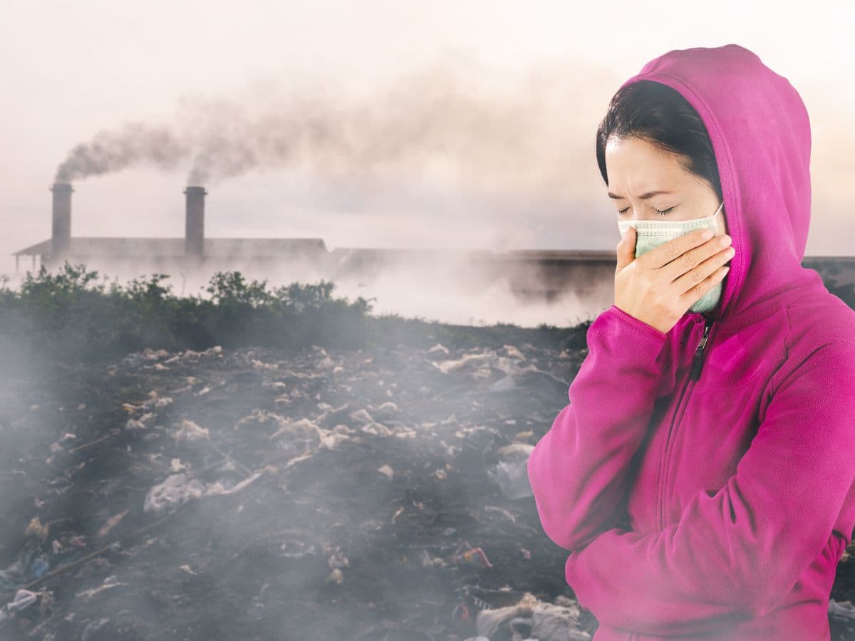 Surge In Climate Anxiety: How Rising Pollution Levels Fuel Concerns ...