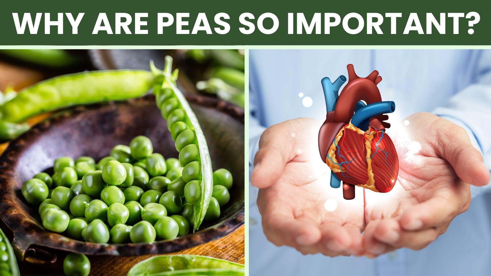 Green Peas: Reasons Why Matar is a Must in Your Winter Diet ...