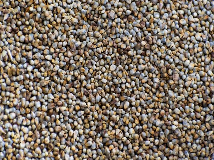 These 5 Foods Will Help Boost Your Immunity This Winter | TheHealthSite.com