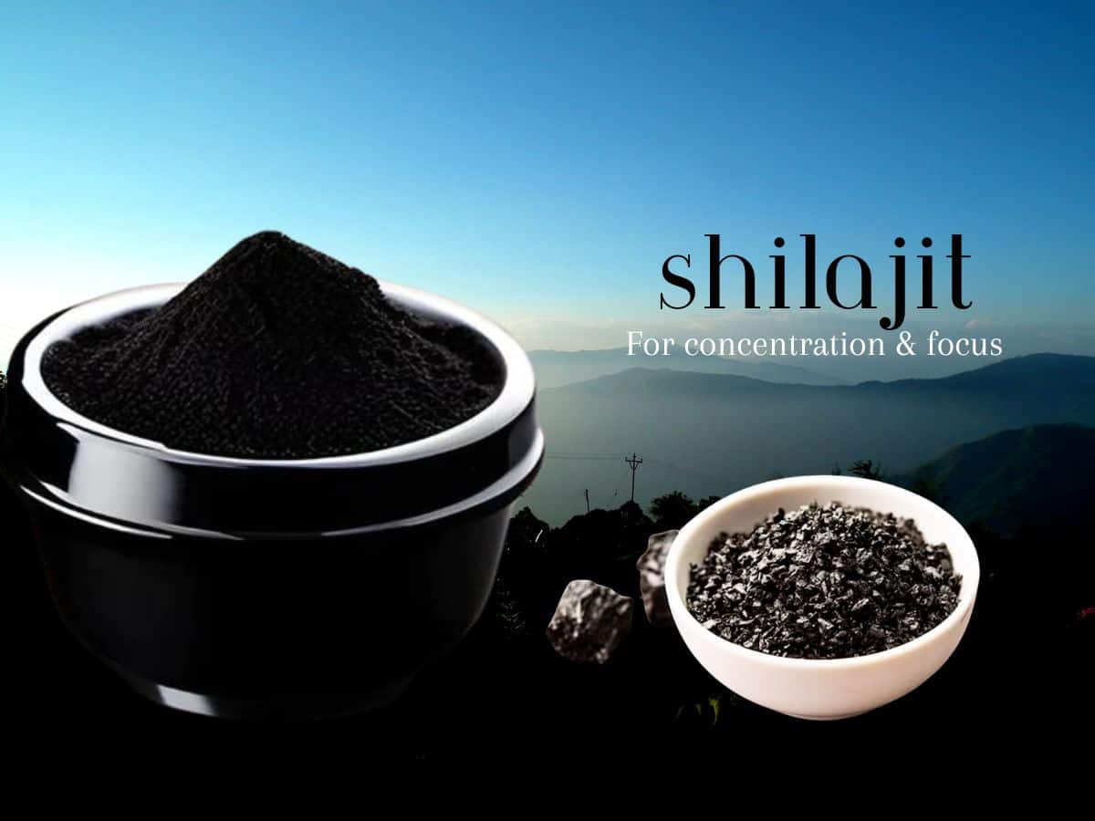Himalayan Shilajit: The Best Ayurvedic Medicine To Improve Focus And Concentration, Boost Brain ...