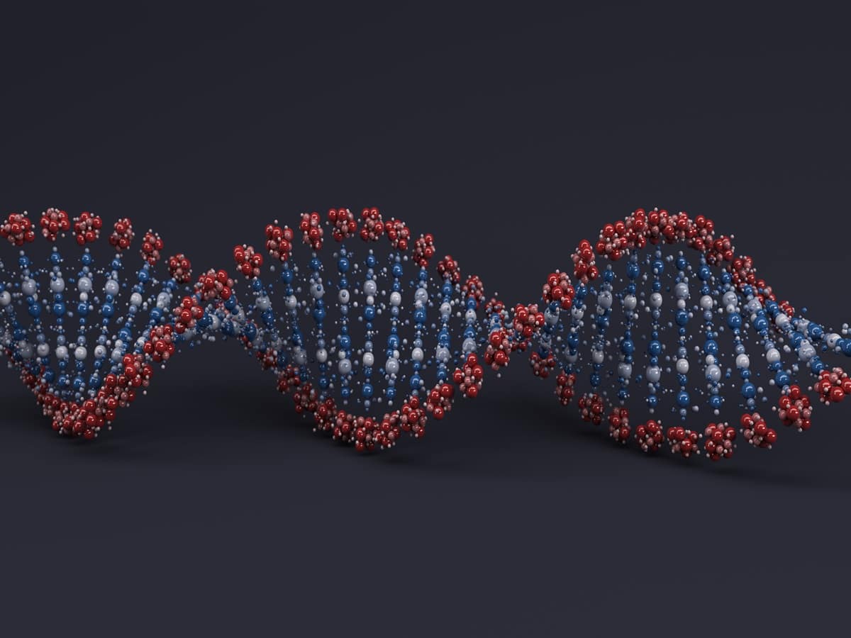 Evolutionary Theory Revisited: Examining The Genetic Basis Of Aging And ...