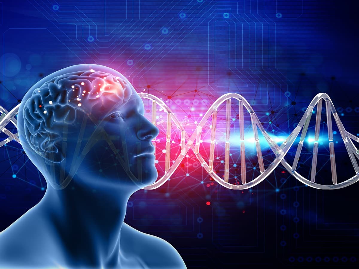 Decoding Brain Complexity: How Movement Shapes Sensory Perception ...
