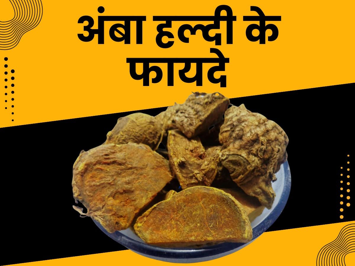 Amba Haldi Ke Fayde | गठिया से लेकर पाचन की समस्या को दूर करती है अंबा ...