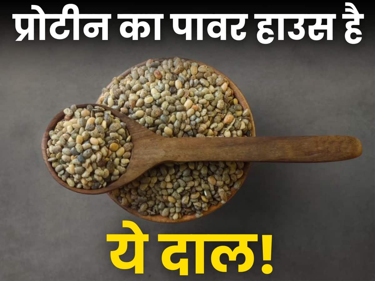 प्रोटीन का पावर हाउस है ये स्पेशल दाल, किडनी स्टोन जैसी गंभीर समस्या से ...