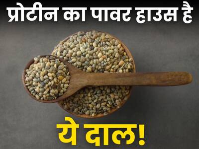 प्रोटीन का पावर हाउस है ये स्पेशल दाल, किडनी स्टोन जैसी गंभीर समस्या से ...