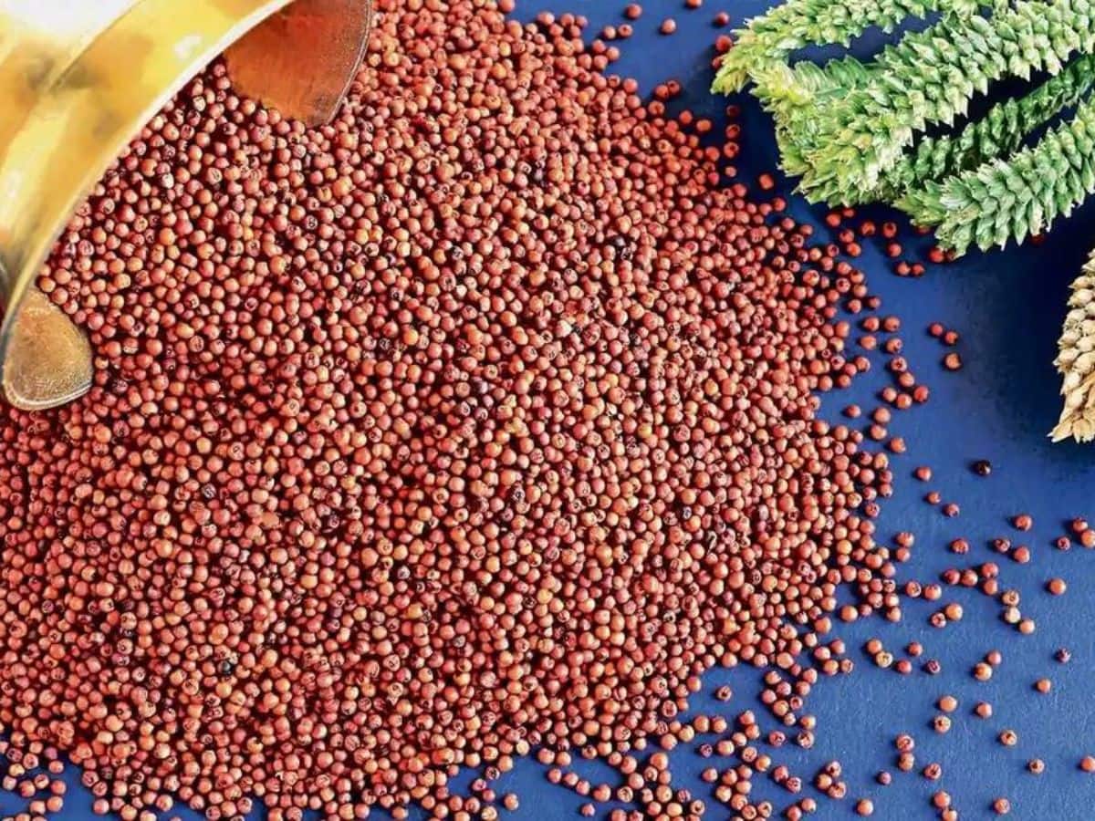 10 Amazing Health Benefits of Eating Different Types of Millets Daily ...