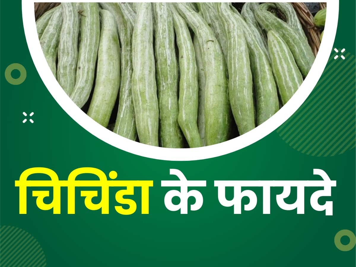 Chichinda Ke Fayde | चिंचिडा खाने से सेहत को मिलते हैं ये 5 लाभ, जानें ...