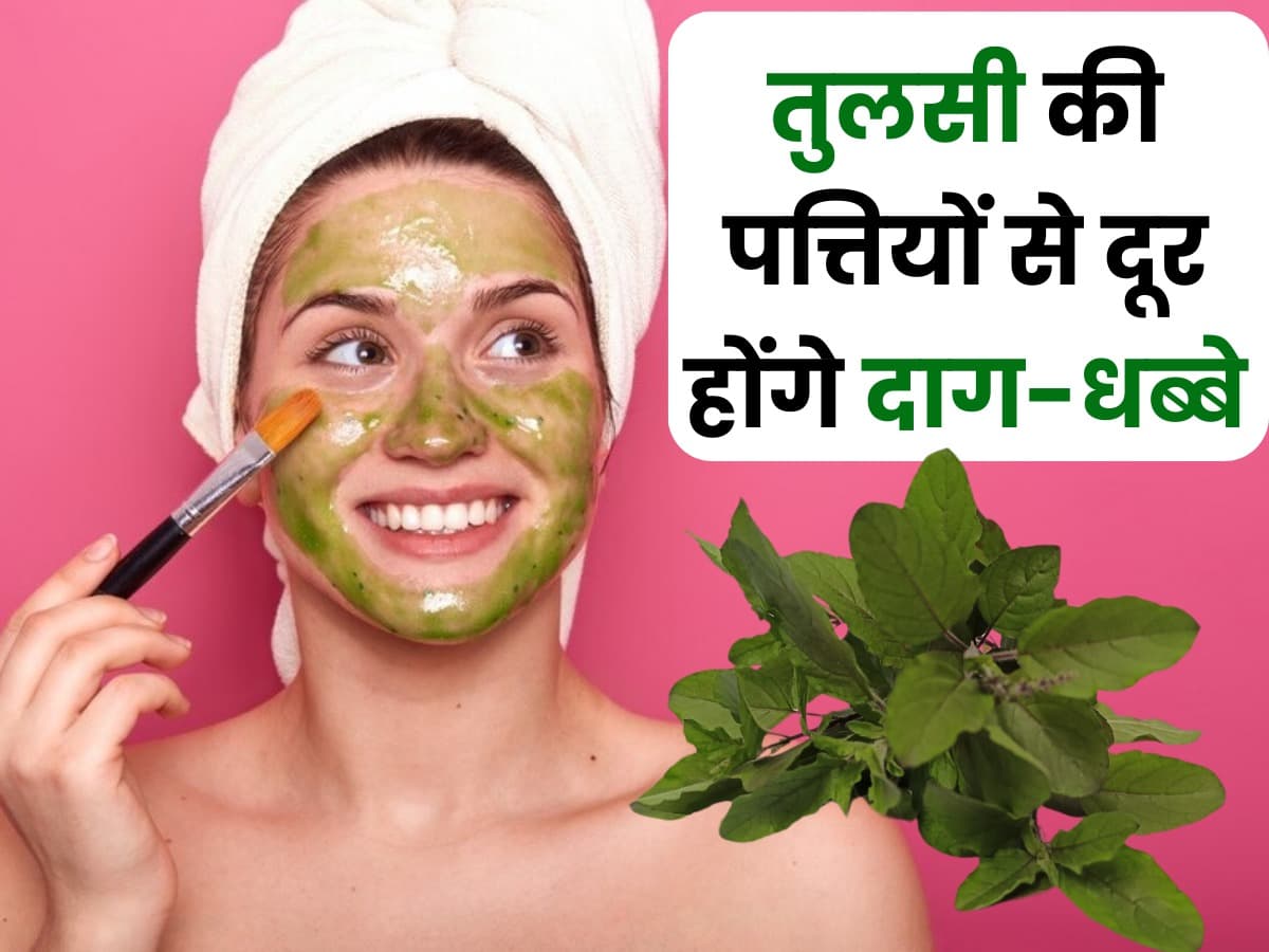 चेहरे के दाग-धब्बों से छुटकारा दिला सकती है तुलसी की पत्तियां, इन 3 ...