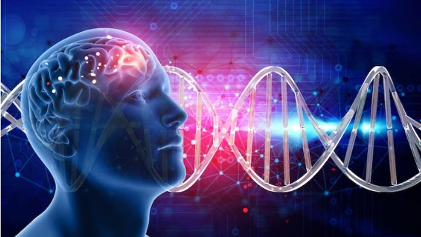 Navigating An Epileptic Episode: 5 Essential Steps For Responding ...