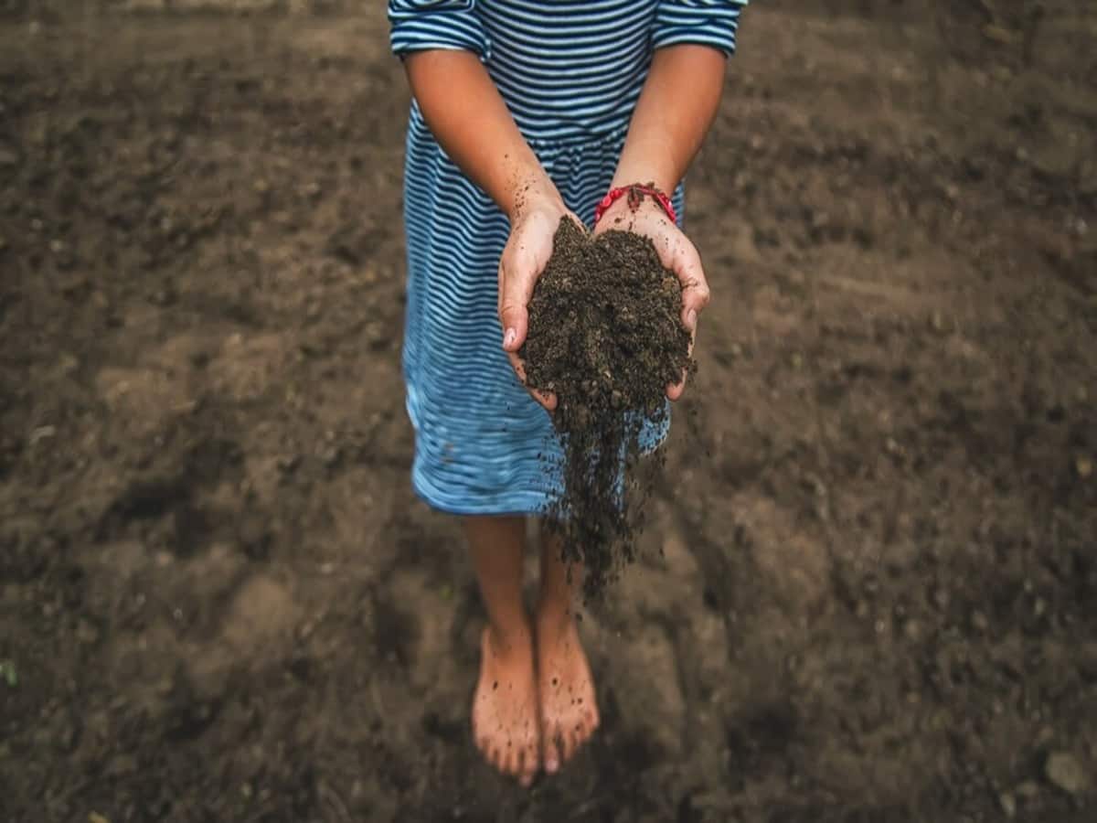 Parents, Take Note: Intestinal Worms Can Raise The Risk Of Anaemia ...