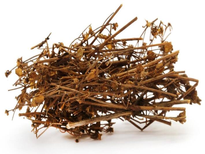 Six Reasons That Make The Bitter Chirata Plant Super Healthy ...