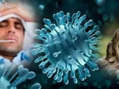 Monkey Fever Symptoms: Top 7 Warning Signs That Say You Are Infected ...