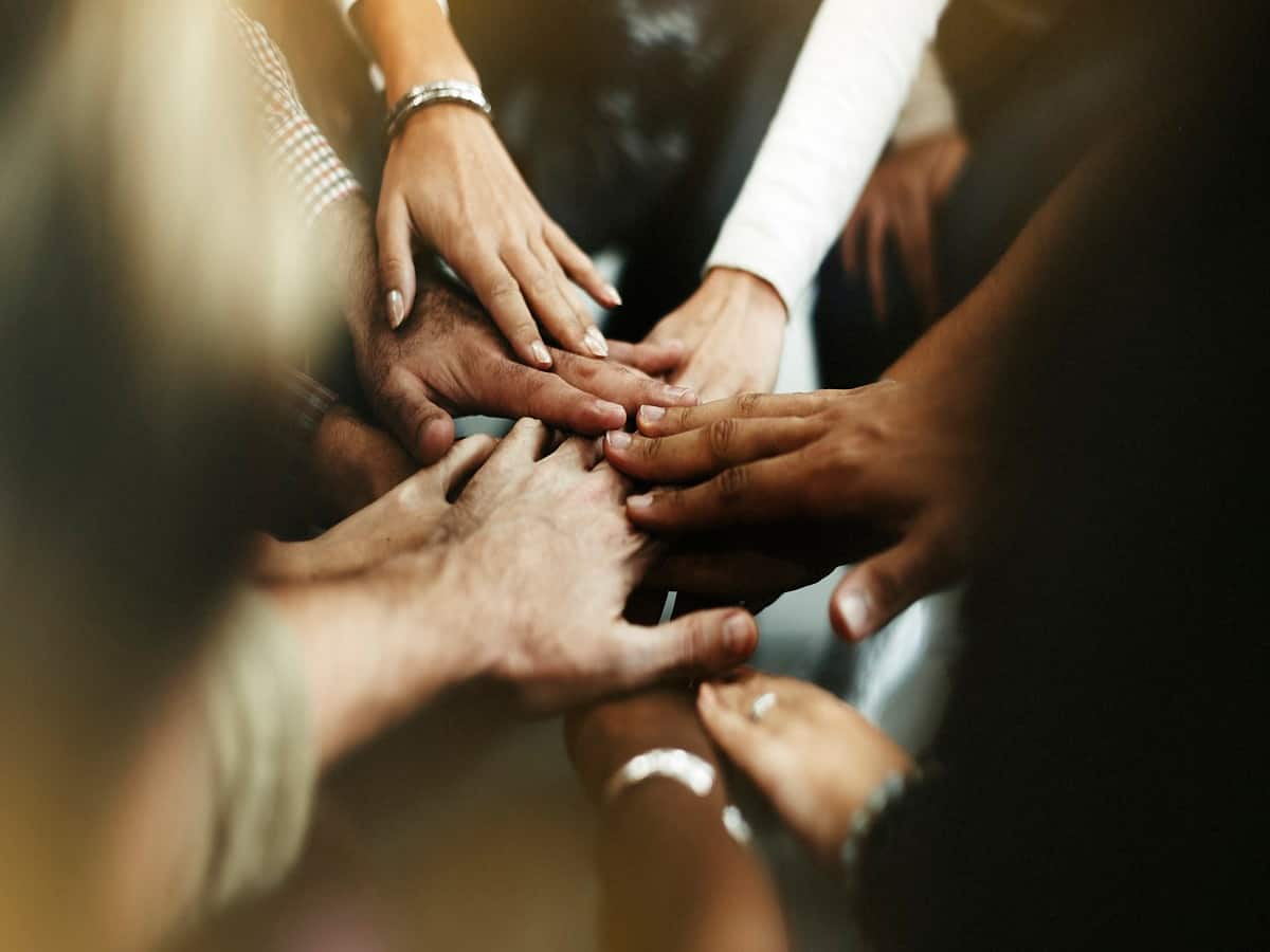 Cultivating Unity: 7 Habits Embracing Interconnectedness ...