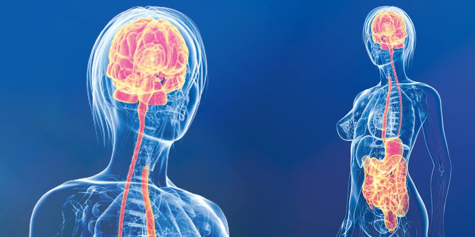 The Mind-Skin Connection: Exploring The Impact Of Stress On Skin Health ...