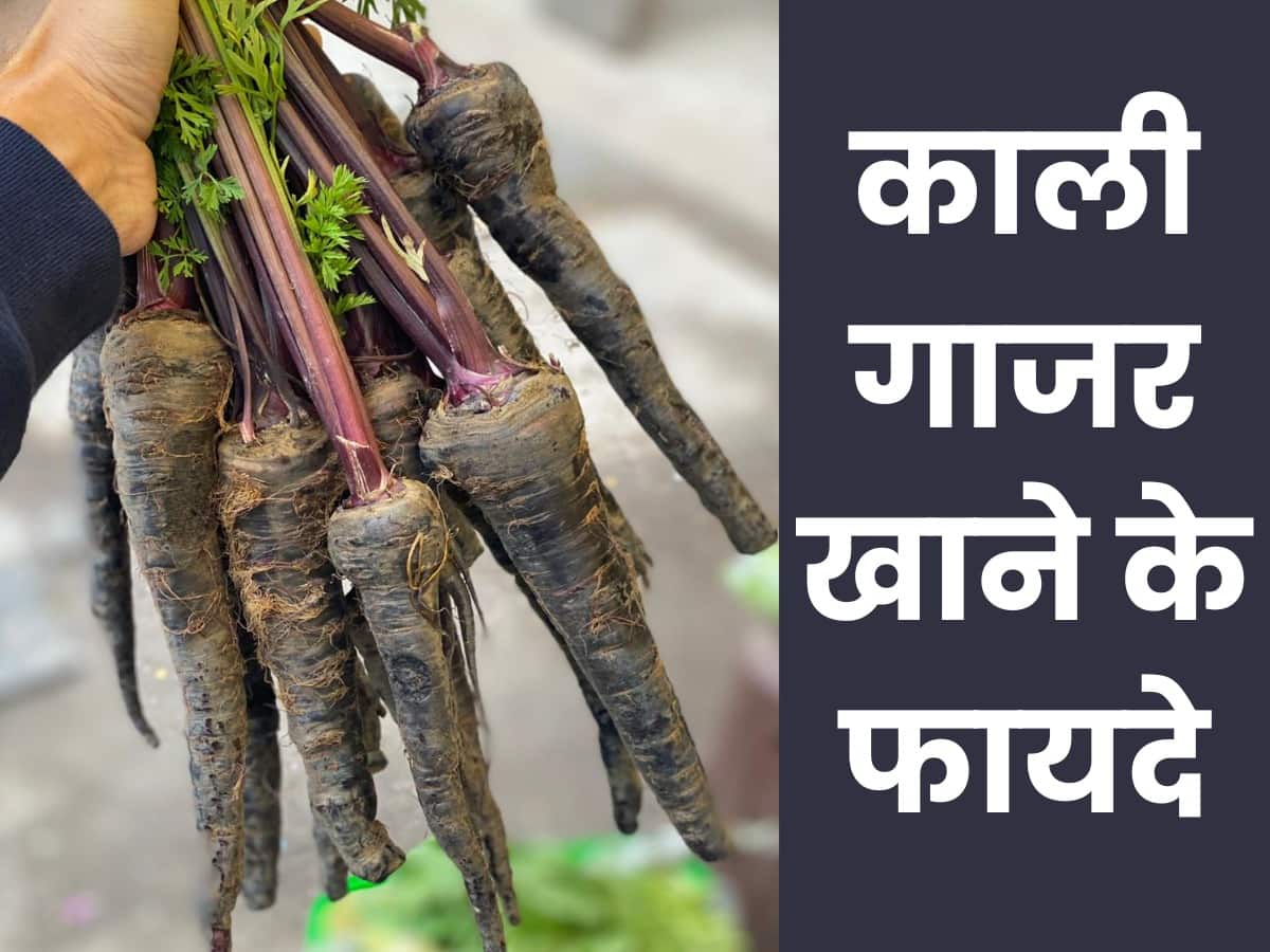 Kali Gajar Ke Fayde | दिल को सेहतमंद रखने से लेकर डायबिटीज तक में ...