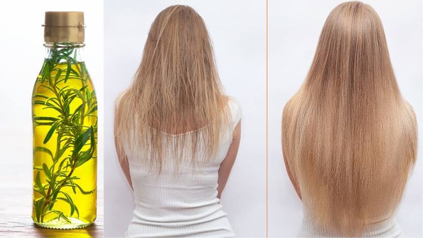How Do You Mix Rosemary Essential Oil With Coconut Oil For Hair Growth ...