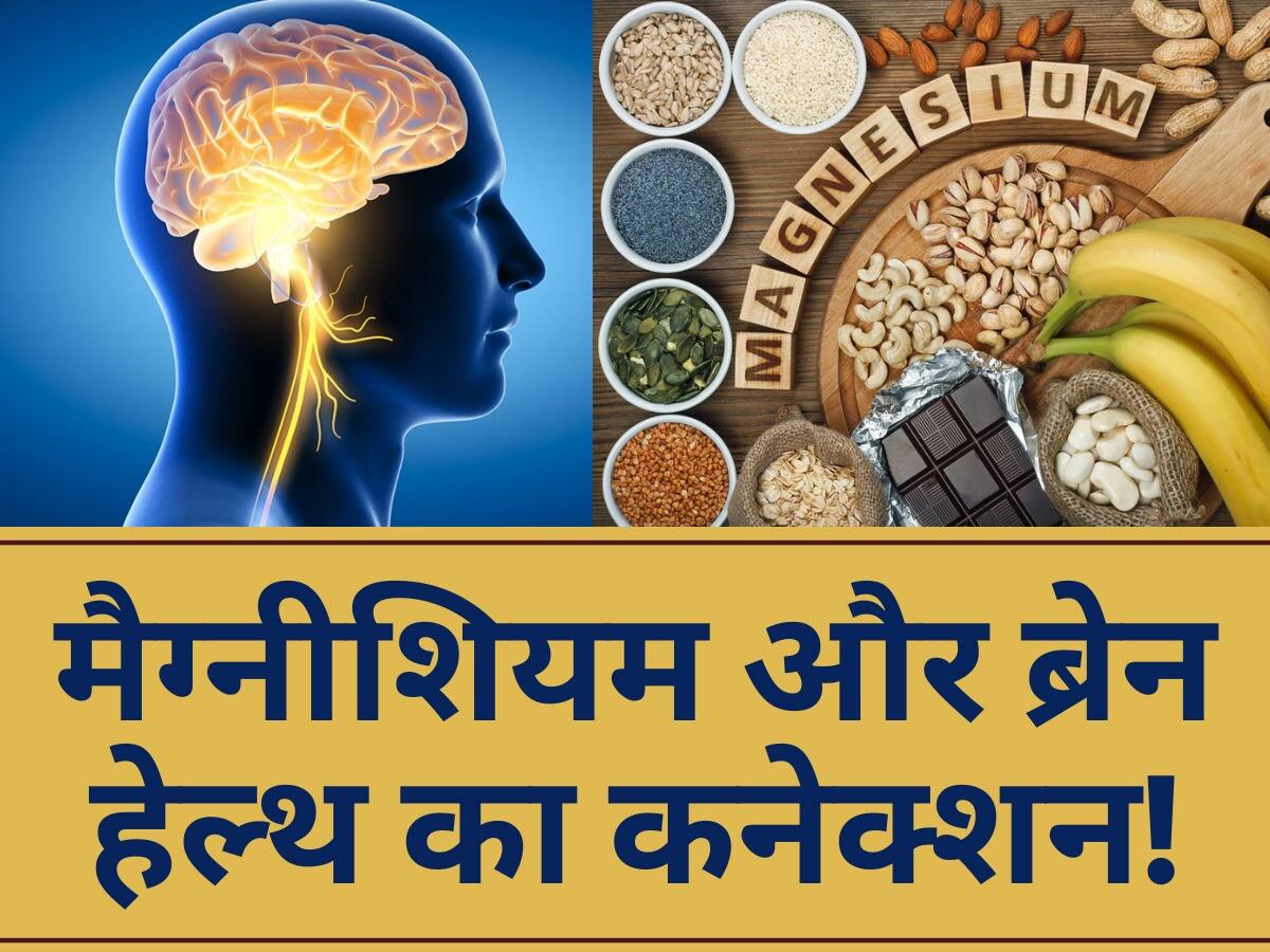 Magnesium For Brain | मस्तिष्क और मैग्नीशियम के बीच है गहरा कनेक्शन ...