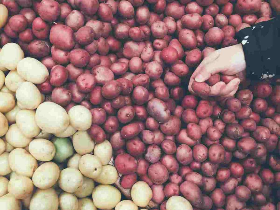 Red Potato Nutrition Facts and Health Benefits: Top 5 Unknown Benefits ...