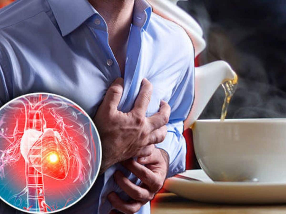 Arjuna Bark Tea For Blocked Heart: 7 Ways Drinking Arjuna Tea On Empty ...