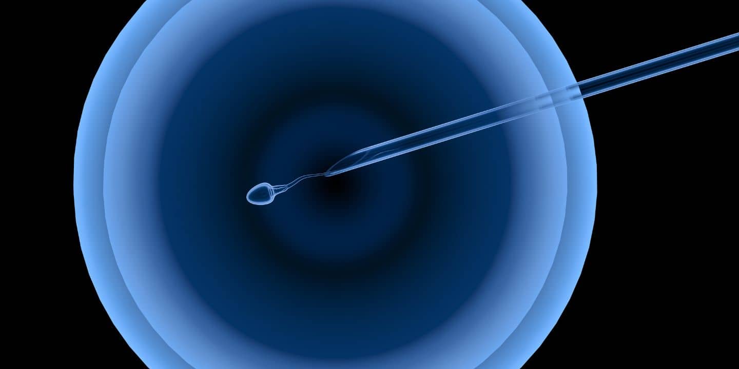 Exploring The Impact Of Artificial Intelligence In Reproductive ...