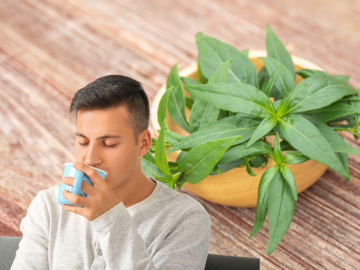 Chirata Water For Lowering High Cholesterol Levels: Top 7 Ways Drinking ...