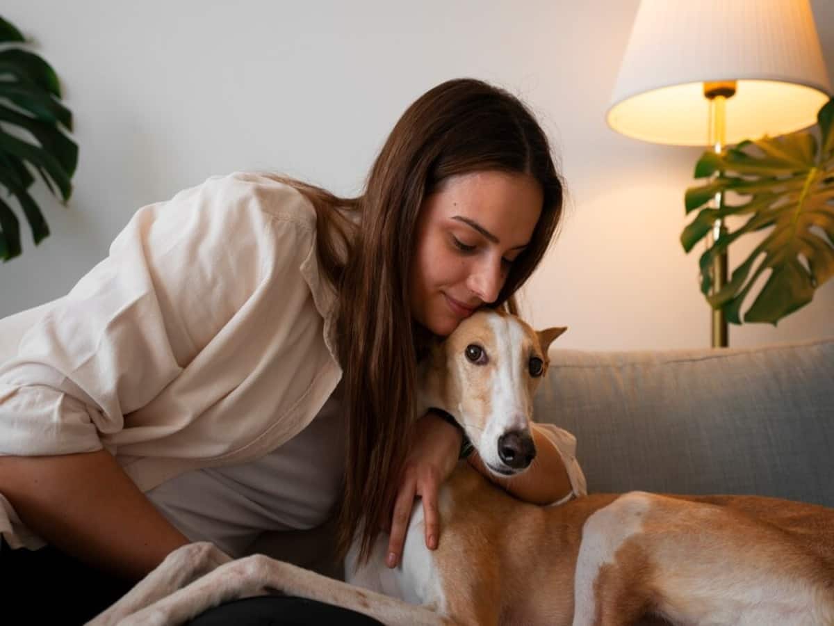 Exactly How Does Interaction With Dogs Benefit The Brain? A Study Found ...