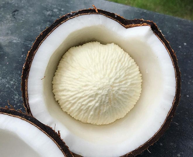 Nariyal Ke Phool: 10 Health Benefits Of Coconut Flower