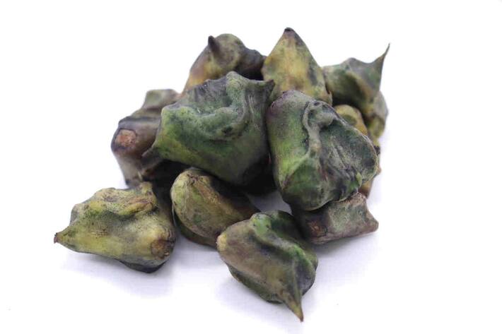 Water Chestnut Benefits For Female Fertility: 10 Nutritional Benefits ...