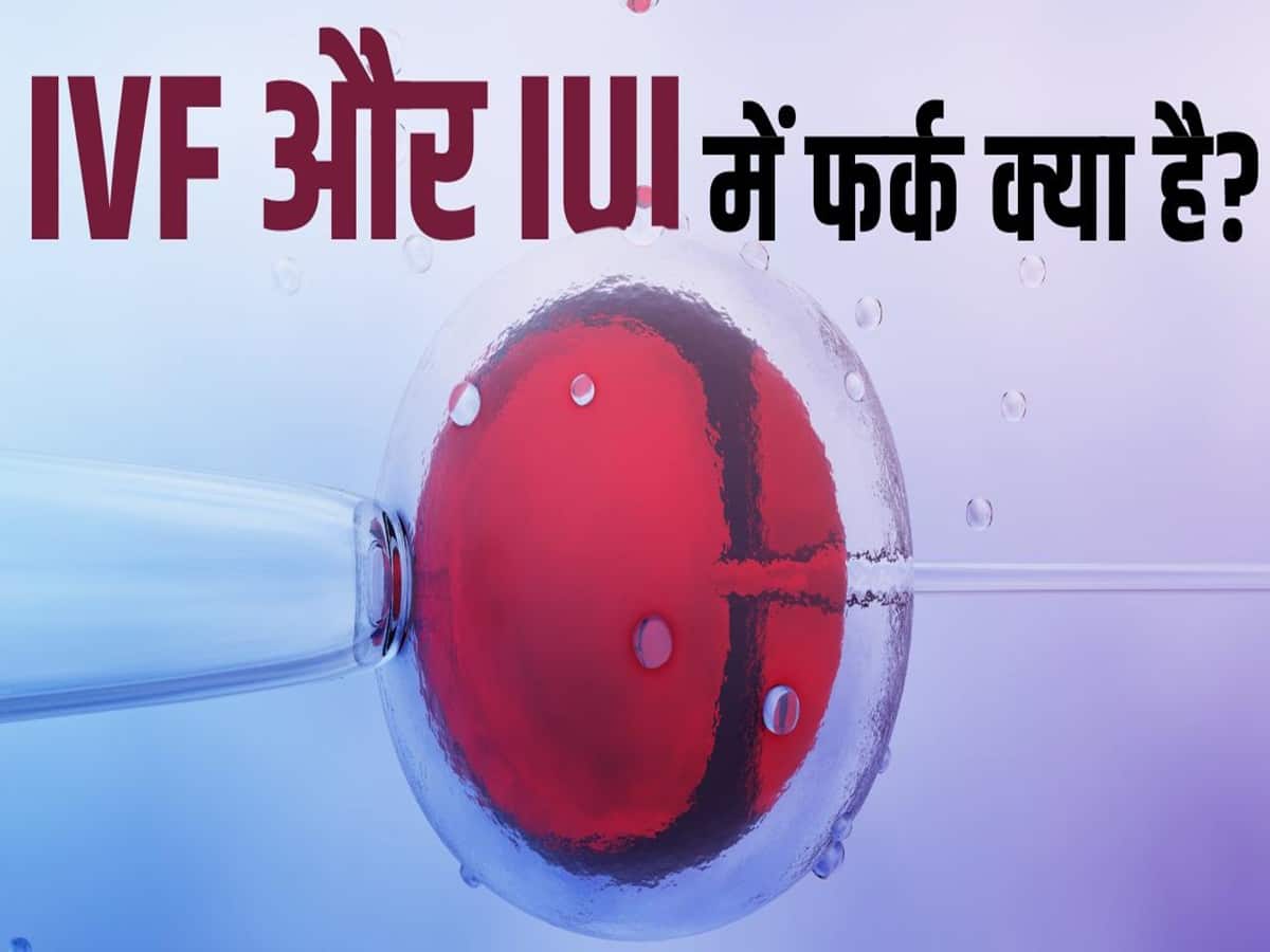 IVF और IUI से कैसे है अलग? और ये दोनों कैसे करते हैं काम ...