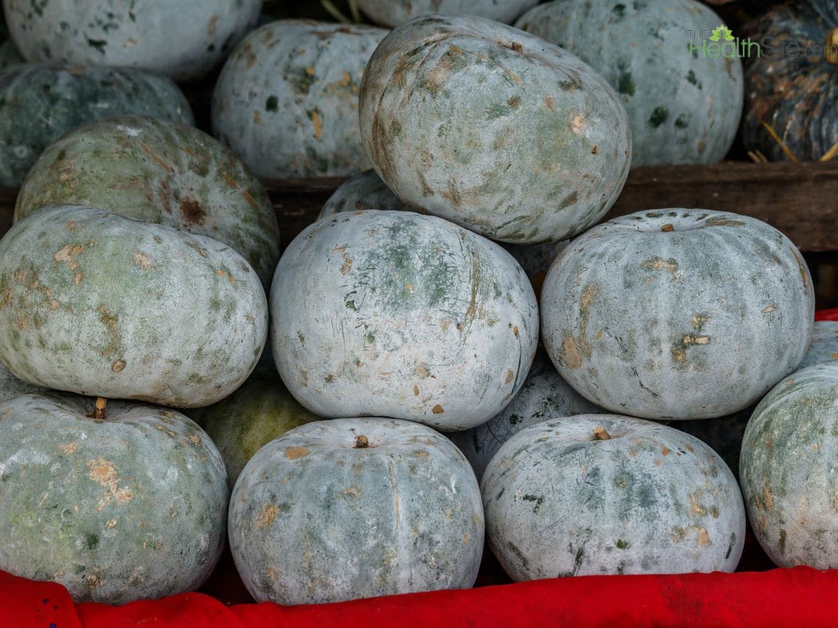 10 Amazing Health Benefits Of Ash Gourd Juice | TheHealthSite.com