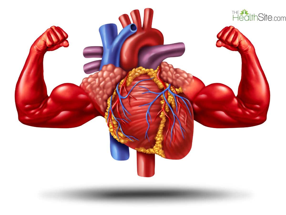 Healthy Heart Workouts: 5 Exercises to Keep Your Cardiovascular System ...