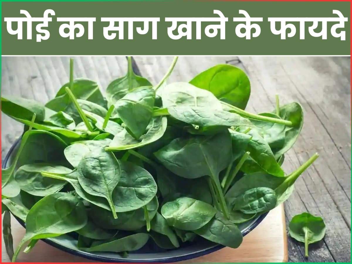 Poi Saag Ke Fayde In Hindi गर्मियों में जरूर खाएं पोई का साग सेहत को