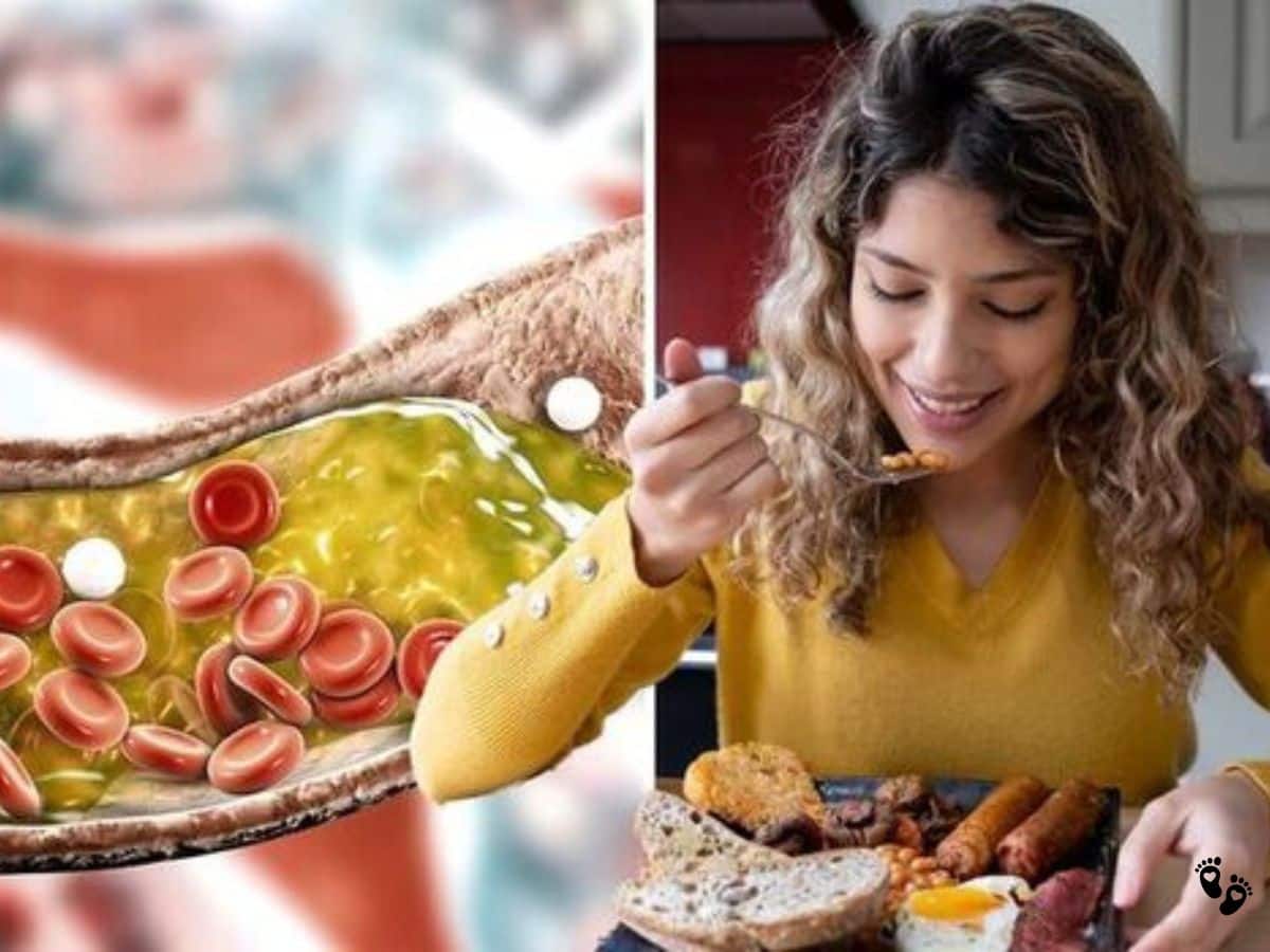 High Cholesterol Management: 7 Dinner Tips To Reduce Bad LDL Cholesterol Levels Naturally ...