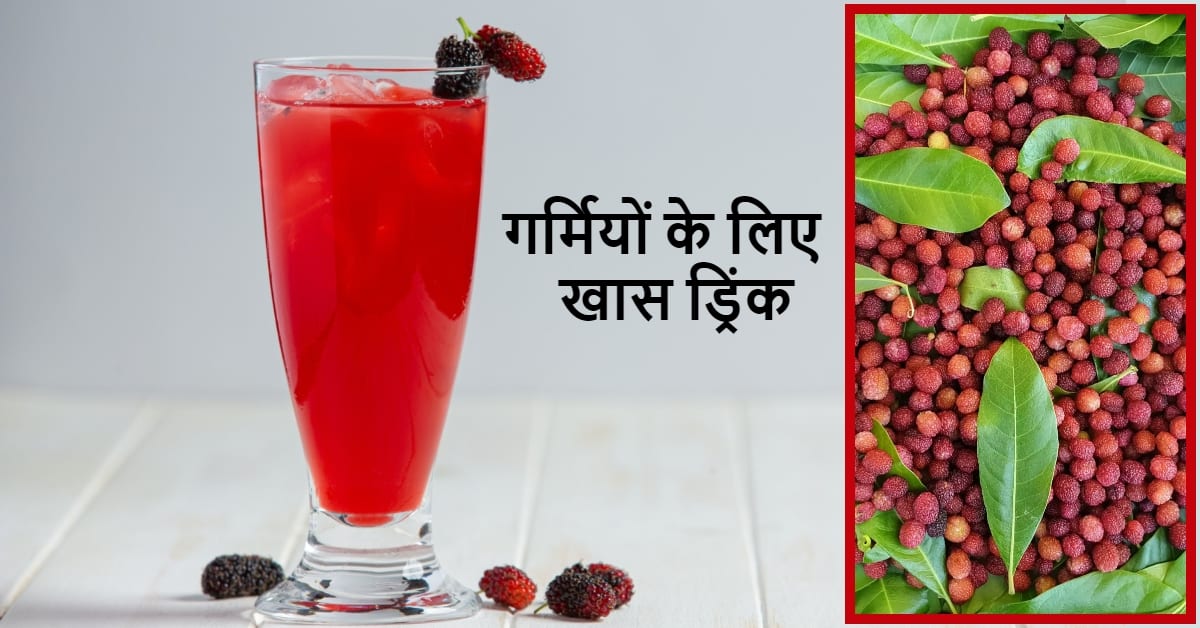 Summer Drink: तपती गर्मियों में भी शरीर को पानी से भर देगा ये लाल रंग ...