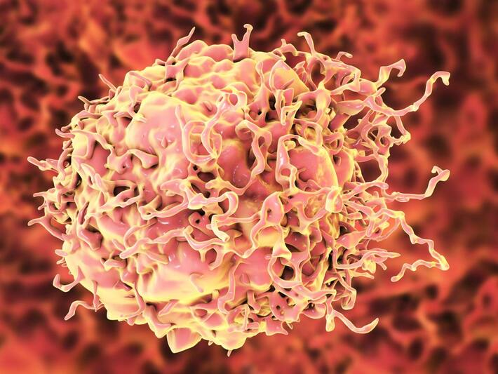 10 Deadliest Cancers In The World, And Their Warning Symptoms ...