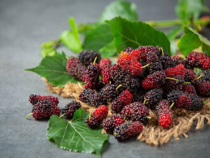 Pregnancy Health: Should Pregnant Women Eat Mulberry? Here Are 6 Things ...