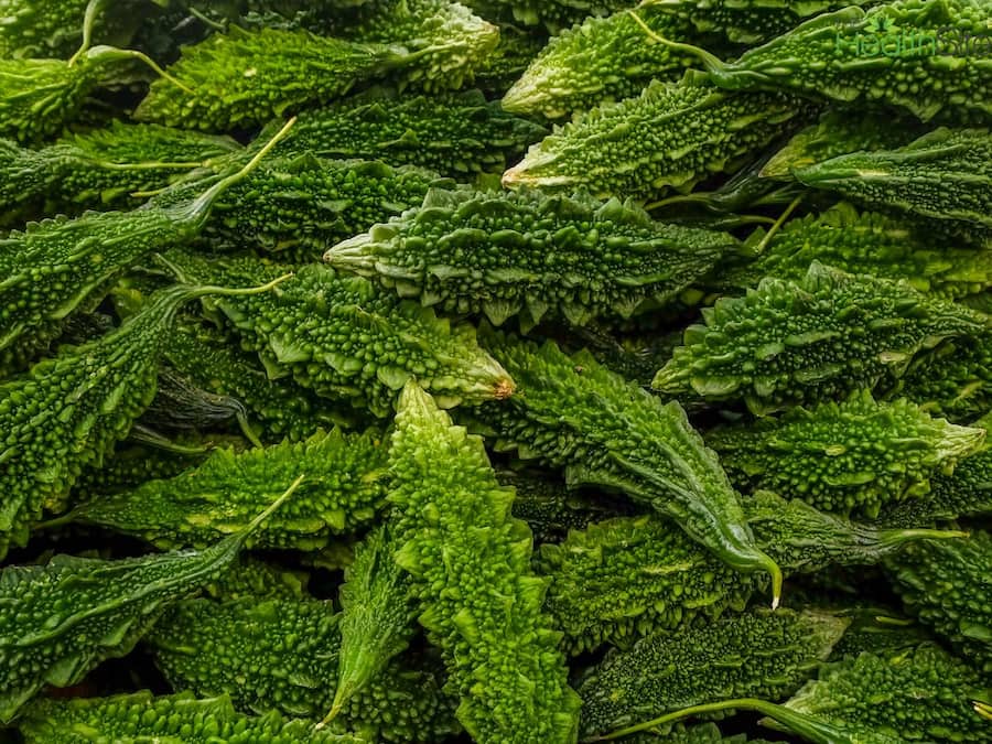 5 Amazing Health Benefits of Eating Bitter Gourd (Karela) in Monsoon ...