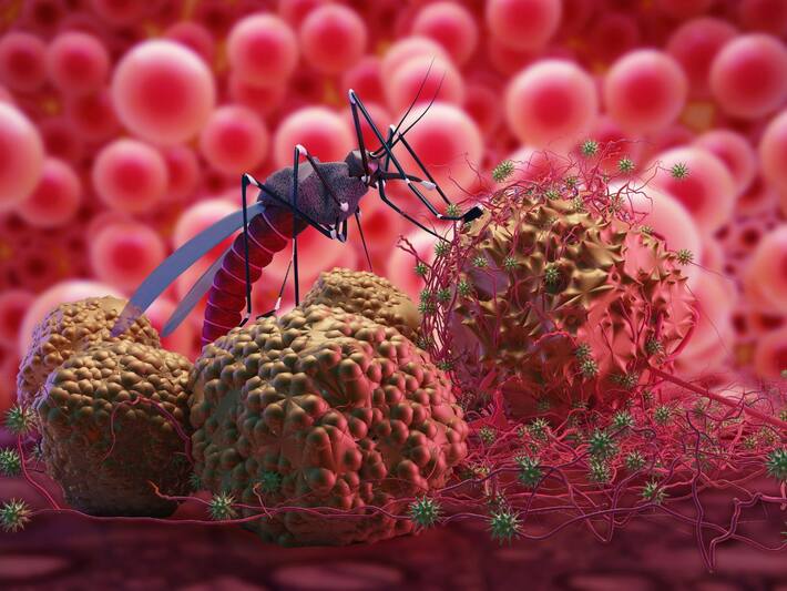 10 Deadliest Diseases In The World, And Their Warning Symptoms ...