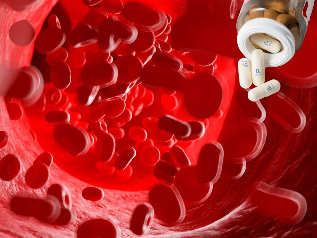 Top 5 Vitamin B6 Foods For Increasing Blood Production In Your Body ...