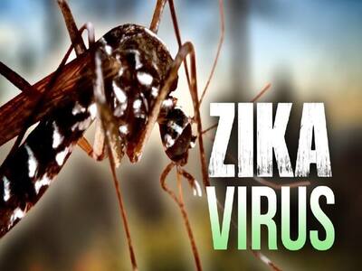 Congenital Zika Syndrome: Can Zika Virus Lead To Multiple Birth Defects ...