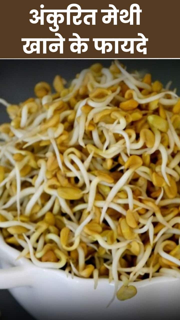 Ankurit Methi Khane Ke Fayde | रोज सुबह एक चम्मच अंकुरित मेथी खाने के 7 ...