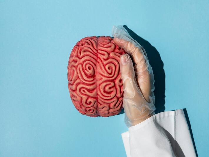 From Gut Health To Cognitive Skills, 6 Facts About Zinc That All Women ...